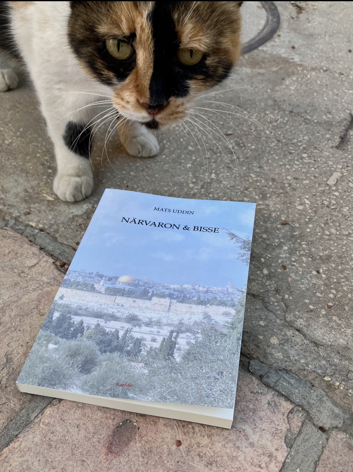 Vår bok! – Mats Uddin
